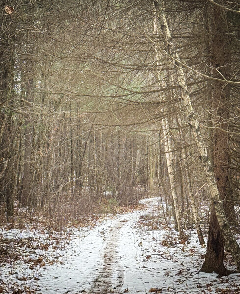 Bay Circuit Trail—Old Right Rd to Rt. 1 Mountain Bike Trail, Topsfield ...